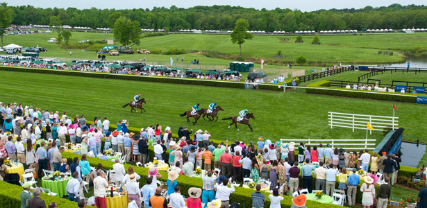 Southern Spirits Has the Best Beer, Wine and Liquor for Queens Cup!
